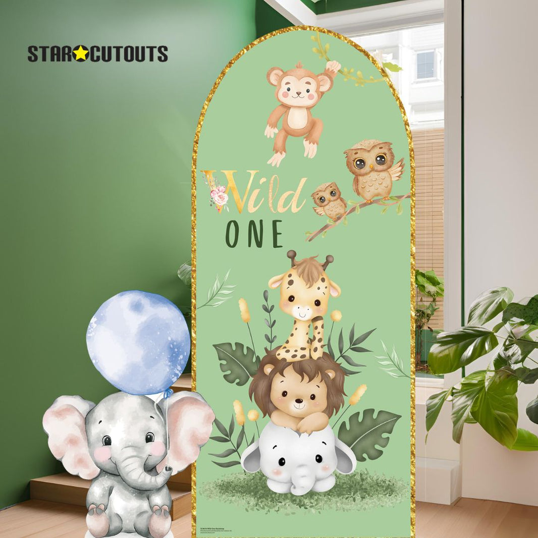Backdrops & Sailboards – Star Cutouts