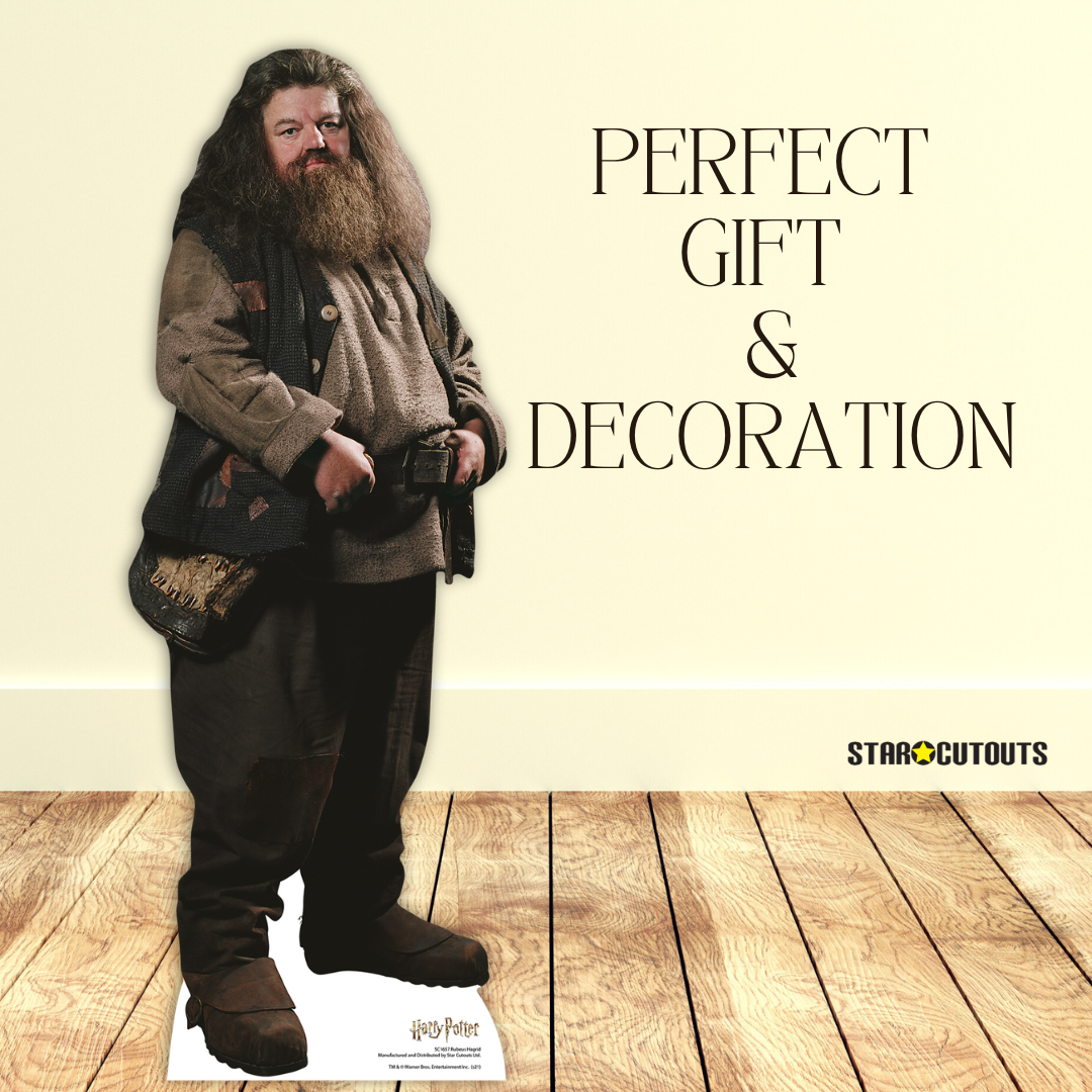 SC1964 Hagrid Star Mini Cardboard Cut Out Height 91cm – Star Cutouts