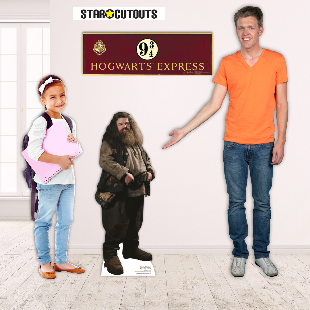 SC1964 Hagrid Star Mini Cardboard Cut Out Height 91cm – Star Cutouts