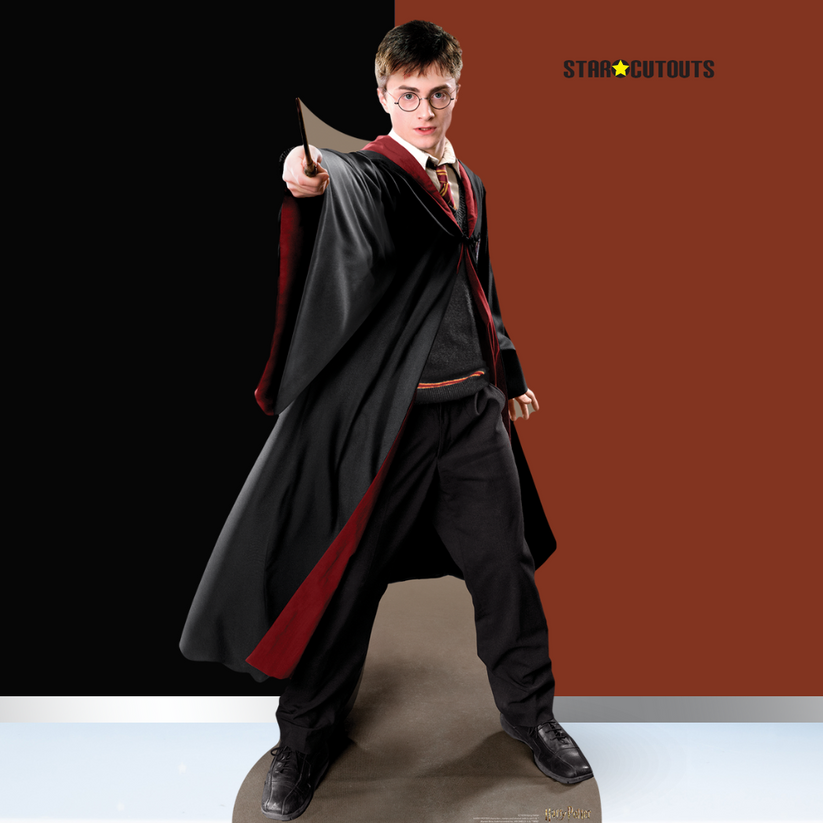 SC1478 Harry Potter Quidditch Captain Cardboard Cut Out Height 170cm ...