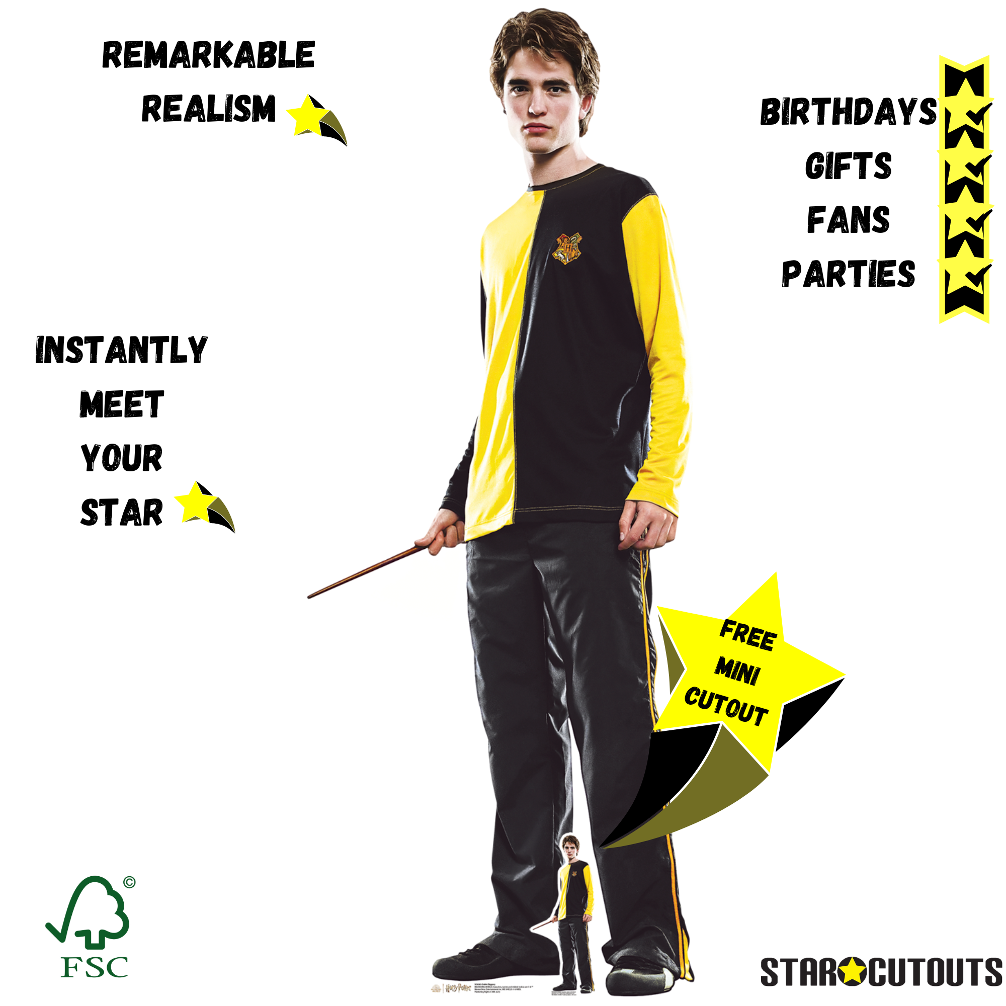 SC4283 Cedric Diggory Harry Potter Cardboard Cut Out Height 185cm ...
