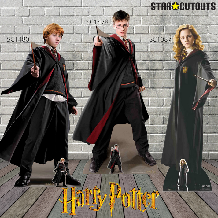 SC644 Draco Malfoy Cardboard Cut Out Height 178cm – Star Cutouts
